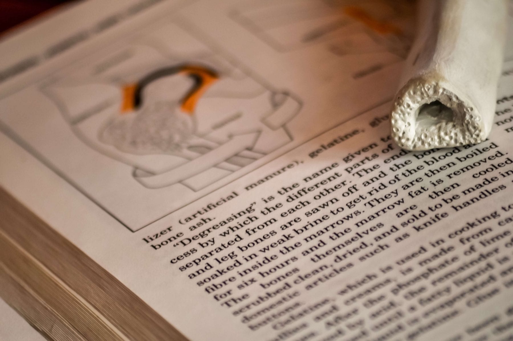 The Fast-Paced LVN Program in California