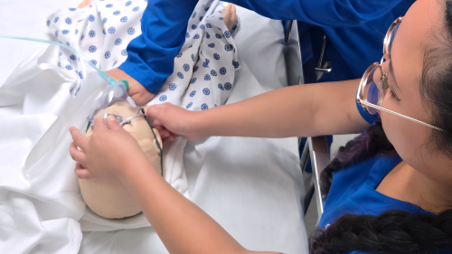 B.S. in Nursing (LVN to BSN) Advanced Placement Program